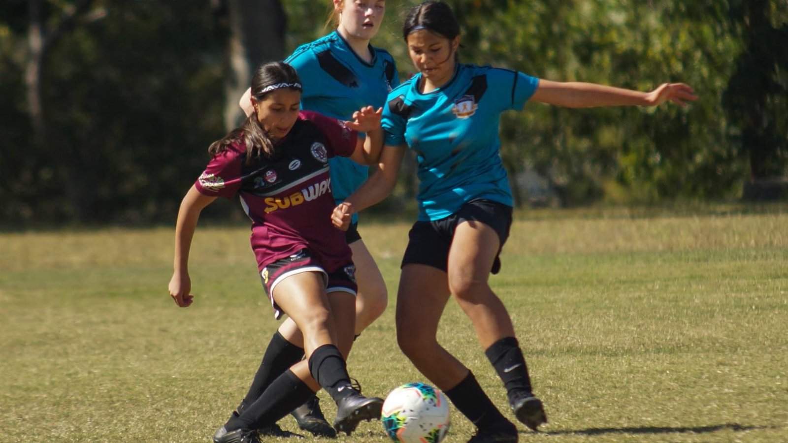 Brisbane Roar & QLD Schools Premier League celebrate successful first ...