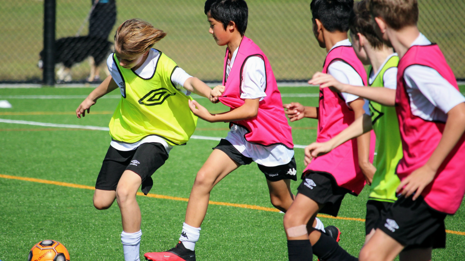 Brisbane Roar announce endorsement of 3v3 football - Brisbane Roar