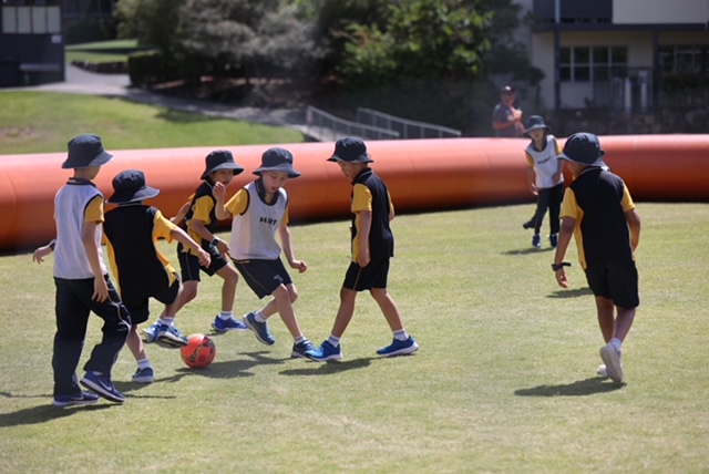 David Minnis eager to grow Roar's community programs - Brisbane Roar